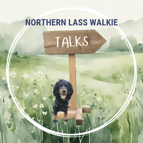 Northern Lass Walkie Talks, Local Tours & Guides in York